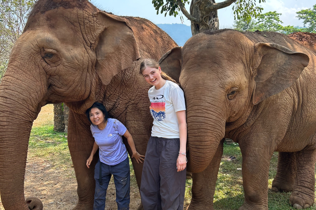 Gap Year in Thailand: Everything You Need to Know - GapGuru